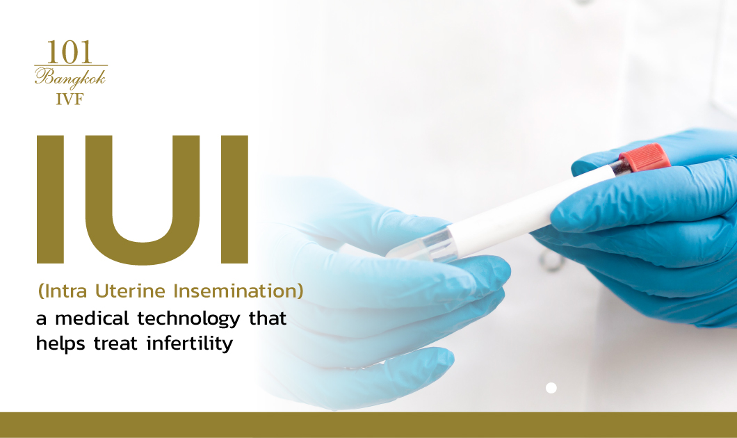 IUI (Intra Uterine Insemination) – 101bangkokivf