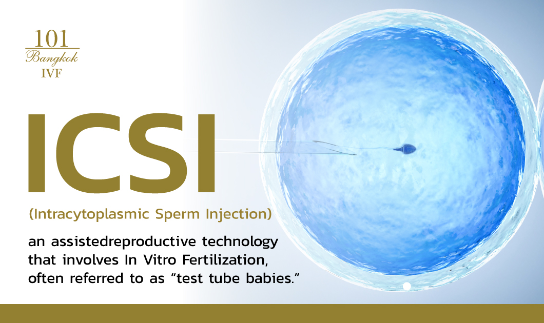ICSI (Intracytoplasmic Sperm Injection) – 101bangkokivf